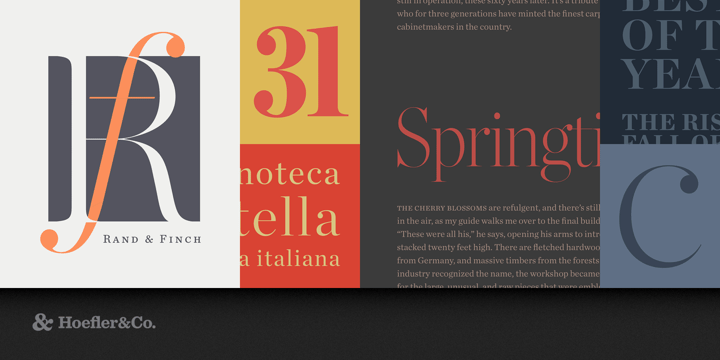 Chronicle Display Font | Webfont & Desktop | MyFonts