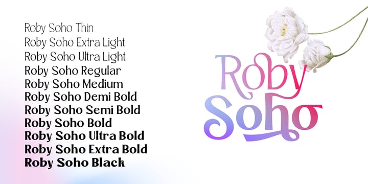 Roby Soho Font | Webfont & Desktop | MyFonts