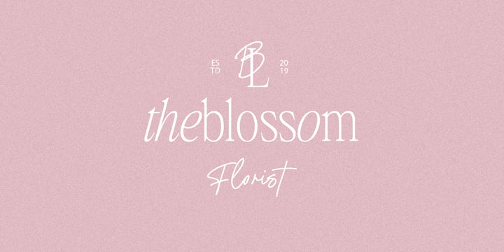 Chromate Font | Webfont & Desktop | MyFonts