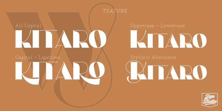 Vince Font | Webfont & Desktop | MyFonts
