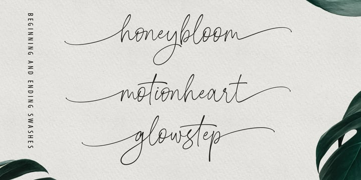 Domestic Script Font | Webfont & Desktop | MyFonts