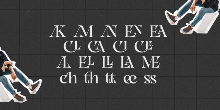 Slagless Font | Webfont & Desktop | MyFonts