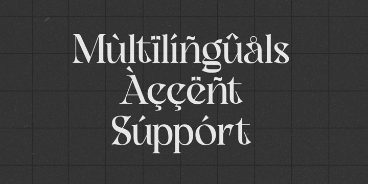 Slagless Font | Webfont & Desktop | MyFonts