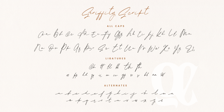 Seriffity Font | Webfont & Desktop | MyFonts