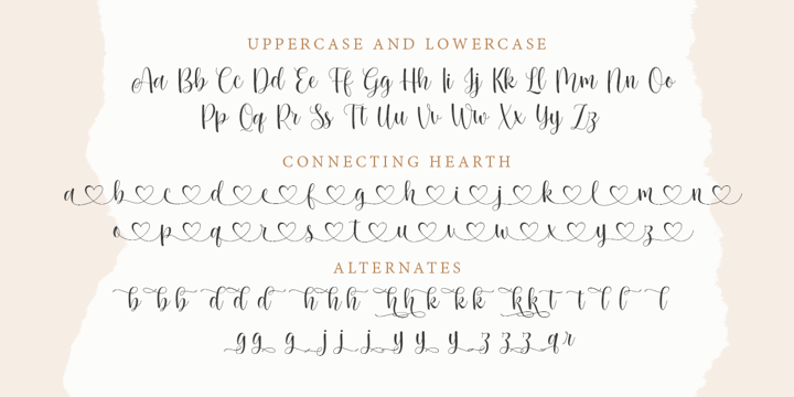 Michel Elisha Script Font | Webfont & Desktop | MyFonts