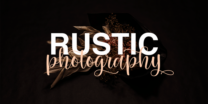 Michel Elisha Script Font | Webfont & Desktop | MyFonts