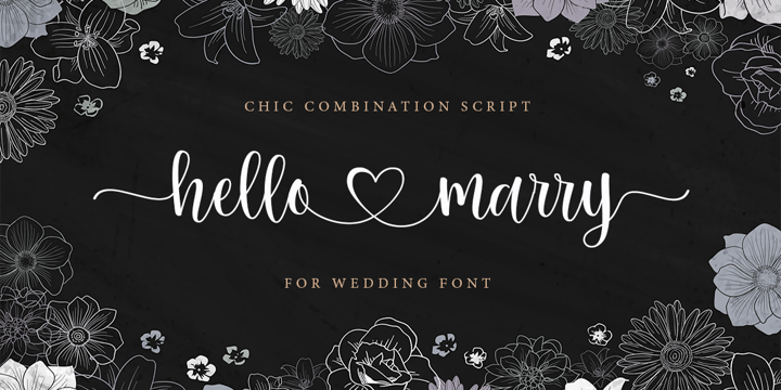 Michel Elisha Script Font | Webfont & Desktop | MyFonts