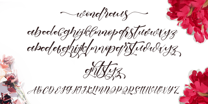 Wondrous Font | Webfont & Desktop | MyFonts