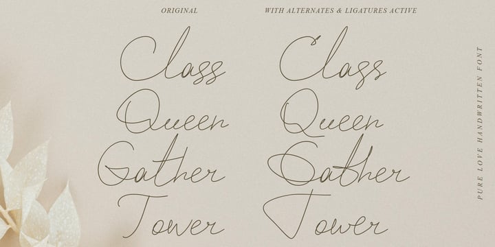 Pure Love Font | Webfont & Desktop | MyFonts