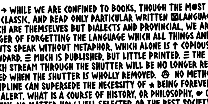 Tenacious Brush Font | Webfont & Desktop | MyFonts