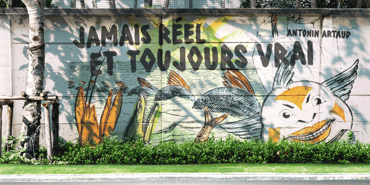 Tenacious Brush Font | Webfont & Desktop | MyFonts