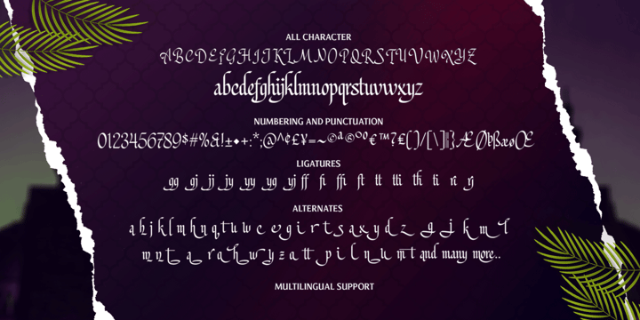 Mustopha Font | Webfont & Desktop | MyFonts