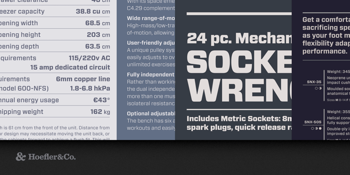 Forza Font | Webfont & Desktop | MyFonts