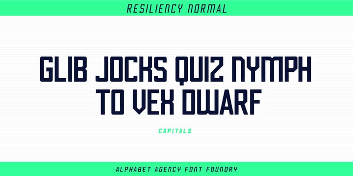 Resiliency Font | Webfont & Desktop | MyFonts