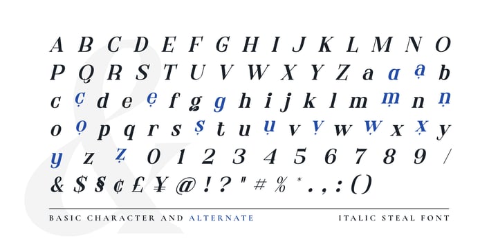 Italic Steal Font | Webfont & Desktop | MyFonts