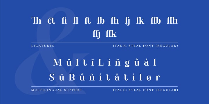 Italic Steal Font | Webfont & Desktop | MyFonts