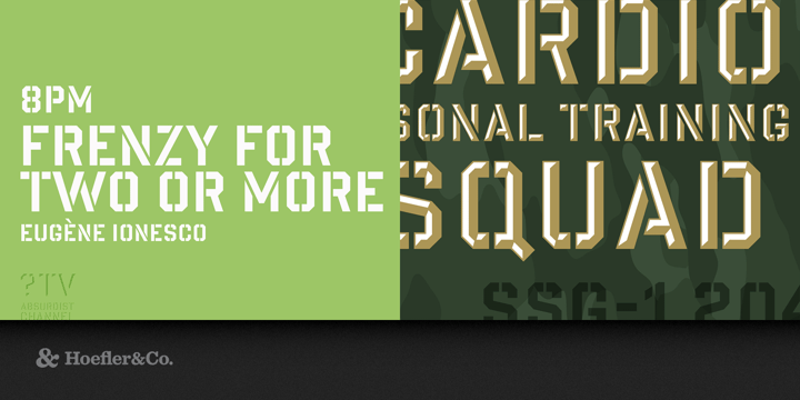 Giant Font | Webfont & Desktop | MyFonts