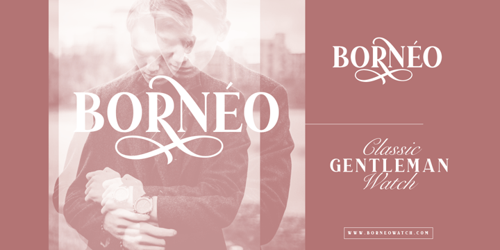 Duarose Serif Font | Webfont & Desktop | MyFonts