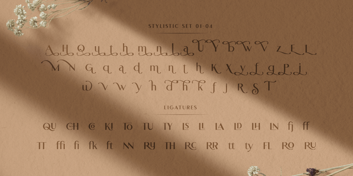 Abigral Font | Webfont & Desktop | MyFonts