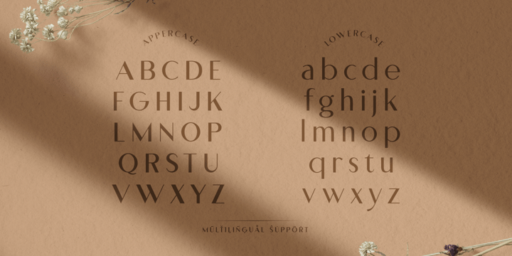 Abigral Font | Webfont & Desktop | MyFonts