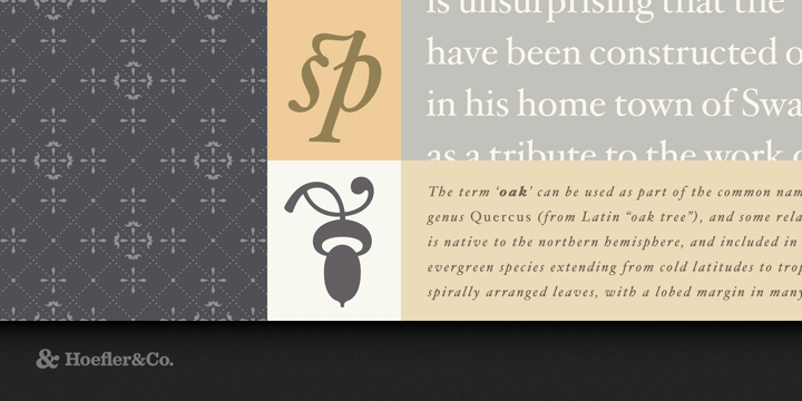 Hoefler Text Font | Webfont & Desktop | MyFonts