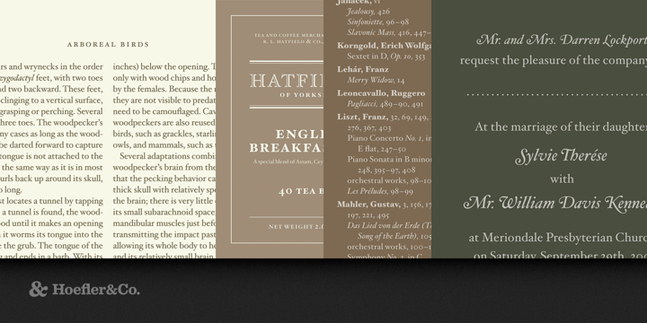 Hoefler Text Font | Webfont & Desktop | MyFonts