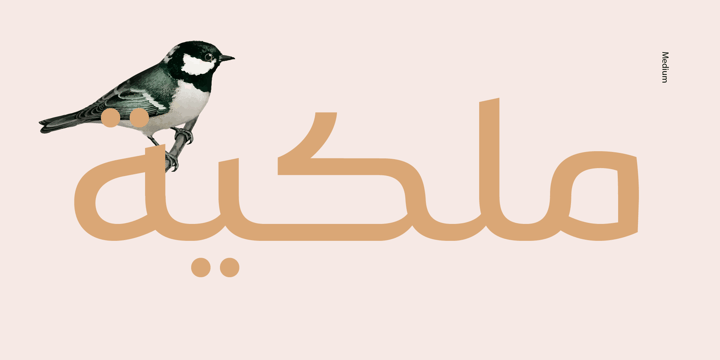 Layla arabic Font | Webfont & Desktop | MyFonts