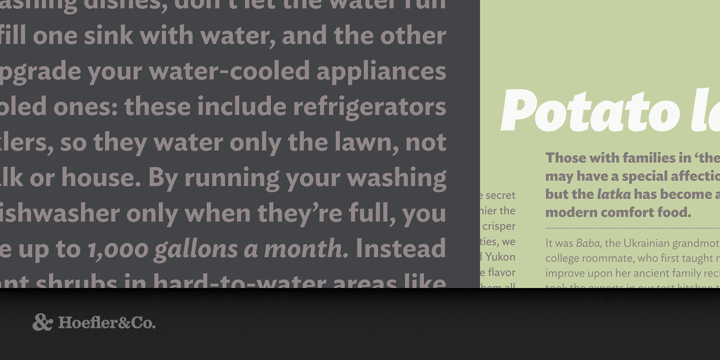 Ideal Sans Font | Webfont & Desktop | MyFonts