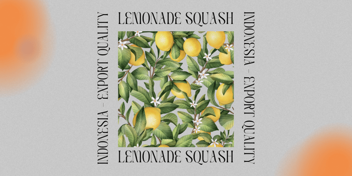 Mexa Font | Webfont & Desktop | MyFonts