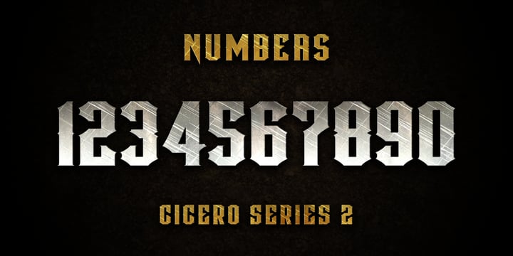 Cicero Series 2 Font | Webfont & Desktop | MyFonts