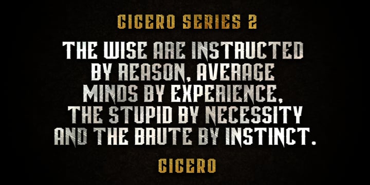 Cicero Series 2 Font | Webfont & Desktop | MyFonts