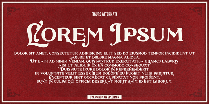 RT Dyans Font | Webfont & Desktop | MyFonts