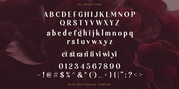 Burgundy Font | Webfont & Desktop | MyFonts