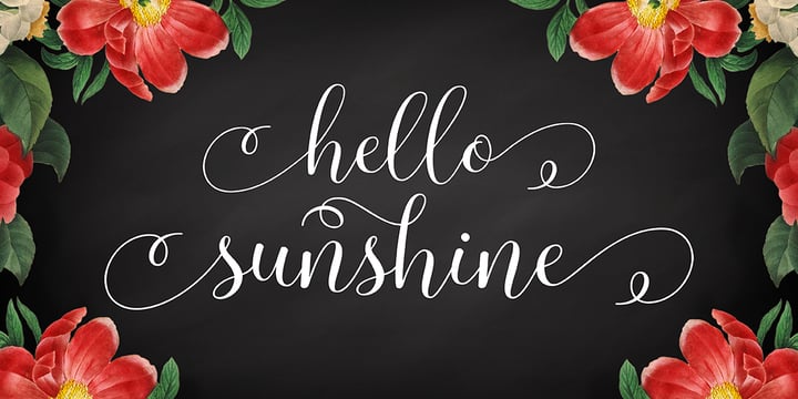 Molly Script Font | Webfont & Desktop | MyFonts