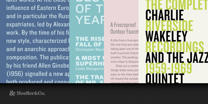 Knockout Font | Webfont & Desktop | MyFonts