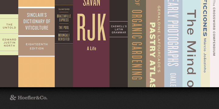 Knockout Font | Webfont & Desktop | MyFonts