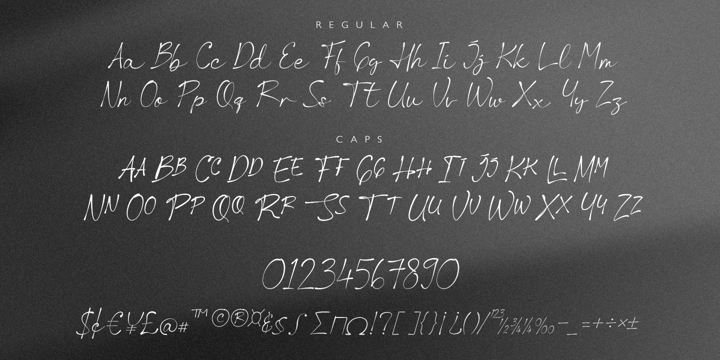 Alberta Script Font | Webfont & Desktop | MyFonts