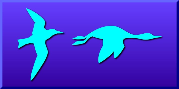 Birds Flying Font | Webfont & Desktop | MyFonts