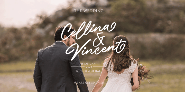 Haystack Font | Webfont & Desktop | MyFonts