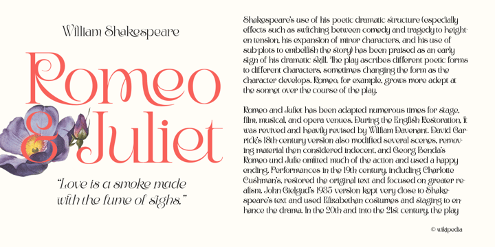 Bunga Pro Font | Webfont & Desktop | MyFonts