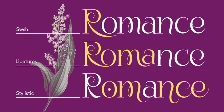 Bunga Pro Font | Webfont & Desktop | MyFonts