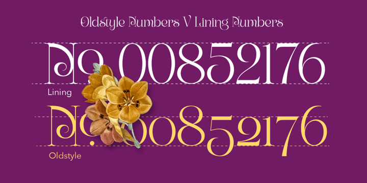 Bunga Pro Font | Webfont & Desktop | MyFonts