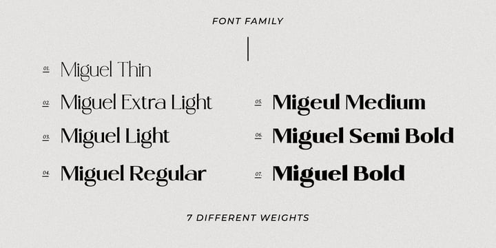 Miguel Font | Webfont & Desktop | MyFonts