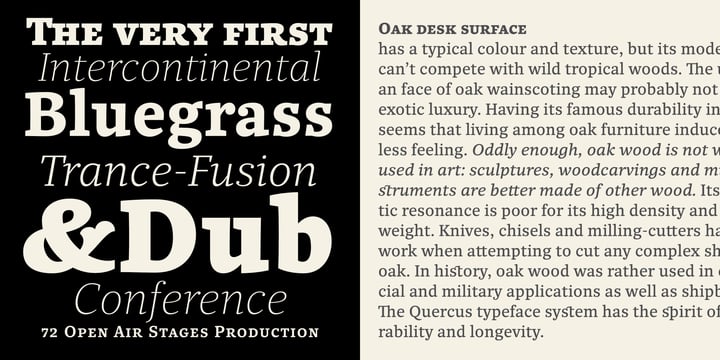 Quercus 10 Font | Webfont & Desktop | MyFonts