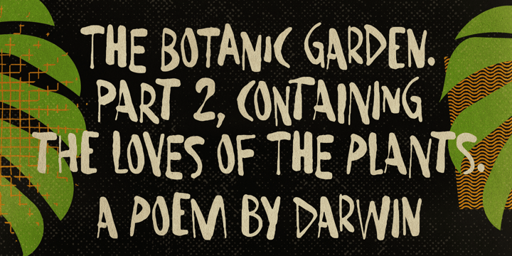 Offhand Brush Font | Webfont & Desktop | MyFonts