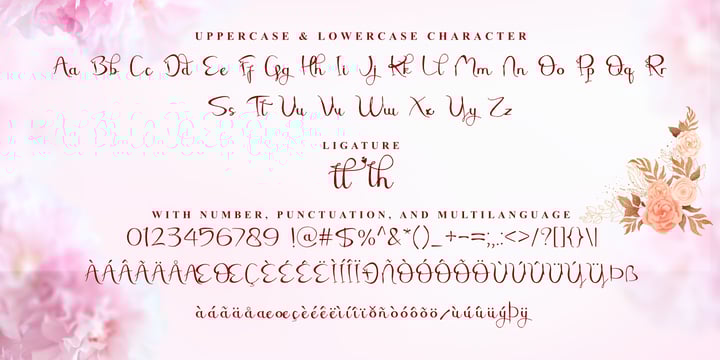 Sheyla Font | Webfont & Desktop | MyFonts