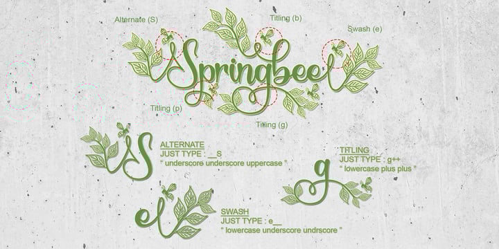 Springbee Font | Webfont & Desktop | MyFonts