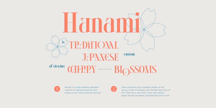 AO Hyperion Font | Webfont & Desktop | MyFonts