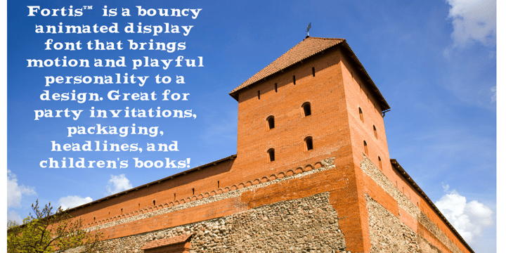 Fortis Font | Webfont & Desktop | MyFonts