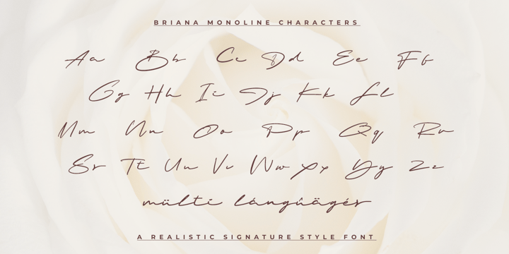 Briana Font | Webfont & Desktop | MyFonts